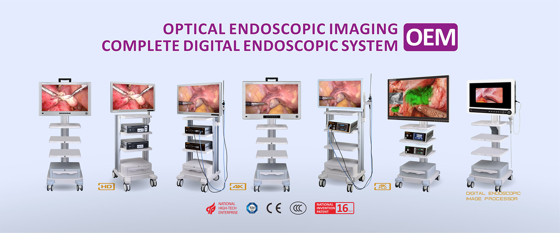 Endoscope imaging system Manufacturer Softlink Medical